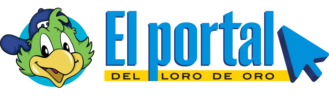 Nuevo sistema de multas electrónicas permitirá pagos con código QR