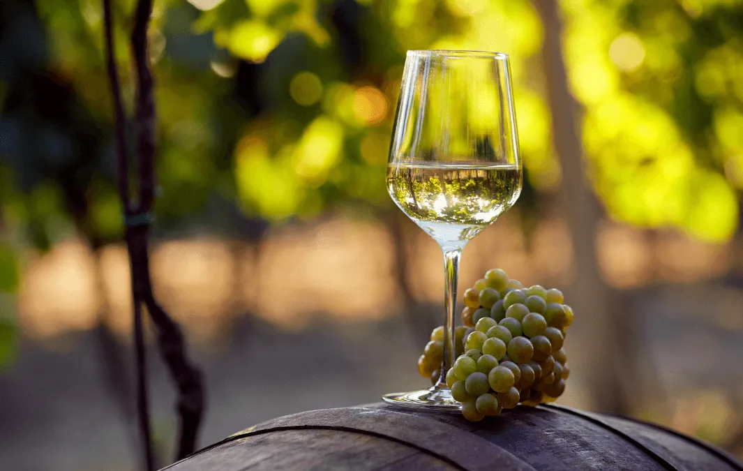 Enólogo chileno destaca el ‘delicioso’ singani boliviano - La Razón