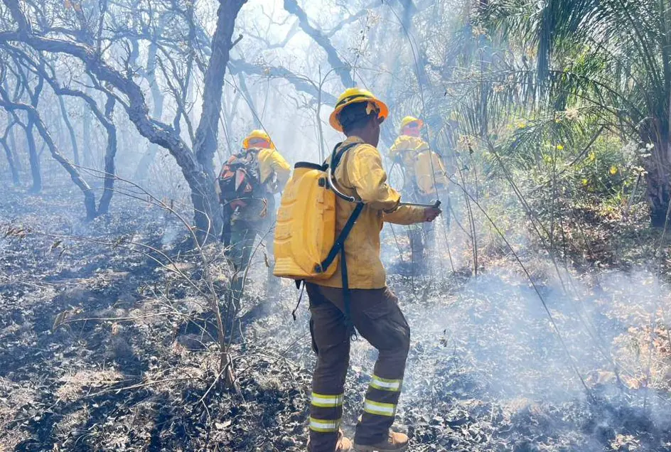 Tras incendio, reportan 350 hectáreas afectadas en Parque Tunari - La Razón